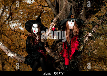 Two witches sitting on the tree in Halloween forest Stock Photo - Alamy