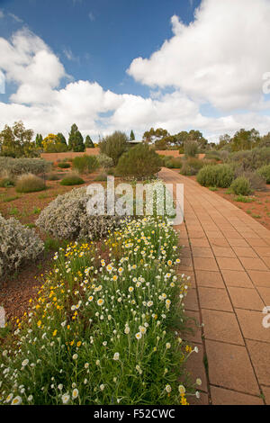 Pathway leading through landscape with masses of wildflowers under blue ...
