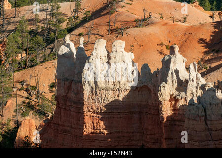 USA, Utah, Iconic Hoodoos in the amphitheater of Bryce Canyon National ...