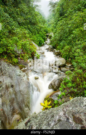 Waterfall In Machay Mountain Close To Banos Ecuador Stock Photo - Alamy