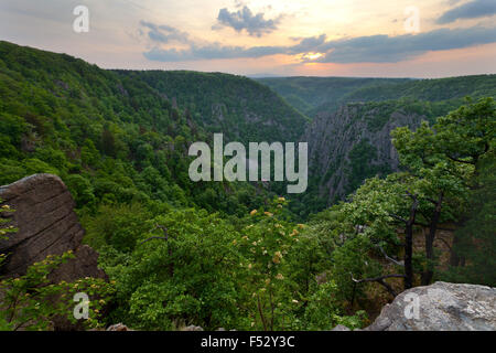 Hexentanzplatz, summer, flowers, Bodetal, Thale, Harz Stock Photo - Alamy