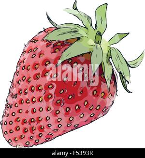 Red strawberry, illustration, vector on white background Stock Vector ...