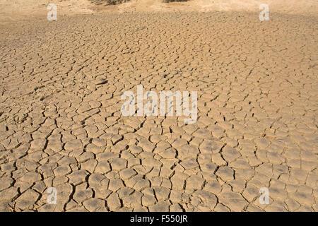 deeply cracked ground in outback Australia during devastating drought ...