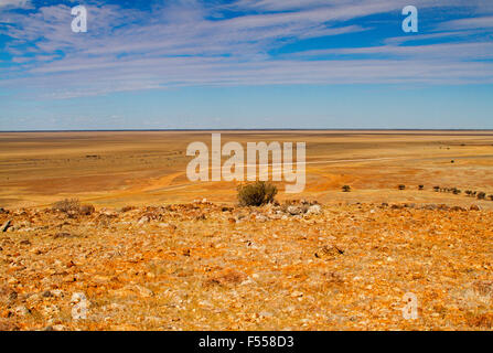 Vast arid Australian outback landscape with low drought tolerant Stock ...