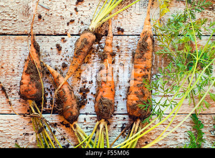 Fresh organic carrots on wooden table and palette of colors Stock Photo ...