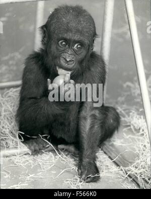 A gorilla family, Mother, Father and Baby Stock Photo - Alamy