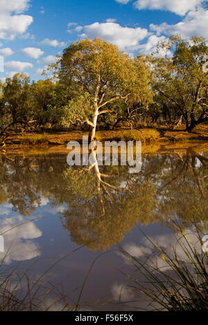 Paroo River with native gum trees and blue sky reflected in calm water ...