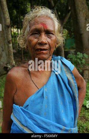 Old Tamil lady with traditional dress Stock Photo - Alamy