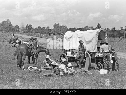 Cowboy herding cattle during a cattle drive along Catlow Valley Road in ...