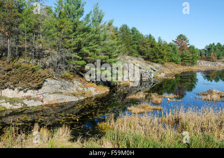 Lake in Muskoka during the fall season Stock Photo - Alamy