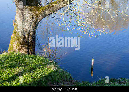 River Teviot near Heiton in the Scottish Borders. Water level ...