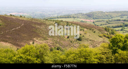 The Quantock Hills. Somerset. UK Stock Photo - Alamy