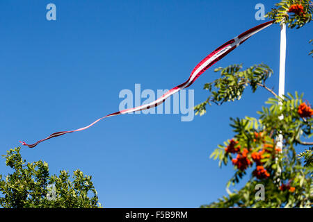 Danish pennant flag or vimpel flying against a clear blue sky Stock ...