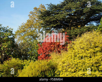 Autumn colour at the Sir Harold Hillier Gardens, Romsey, Hampshire ...