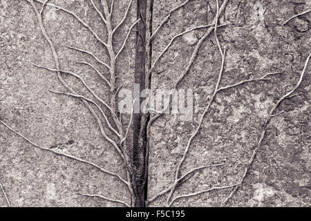 Tendrils growing on a granite stone for backgrounds Stock Photo - Alamy