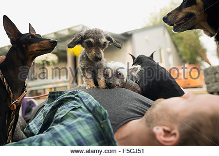 Image of dog standing on top of staircase in black and white at the ...