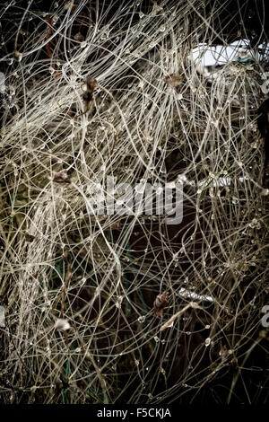 Discarded or lost fishing nets wrapped caught on a groyne, polluting ...