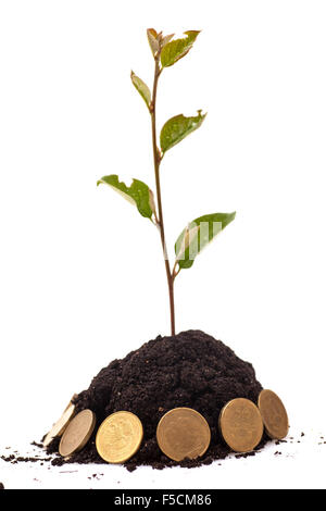 Euro Coins Growing in Soil with Green Plant Investment Concept Stock ...