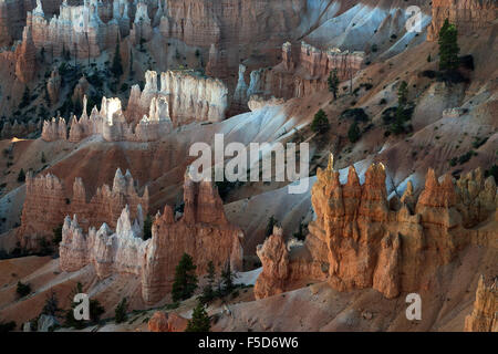 View of coloured rock formations, fairy chimneys, morning light, Bryce ...