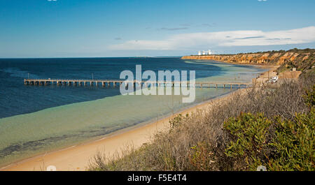 Coastal landscape with ocean & jetty at Wool Bay beyond mass of yellow ...