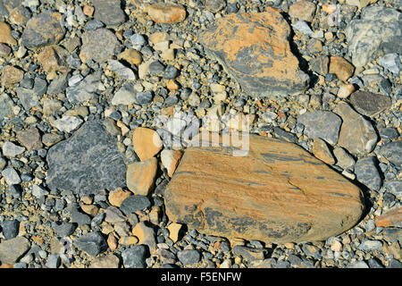Rocks in the glacial till at the Icefields/Athebasca Glacier, Jasper ...