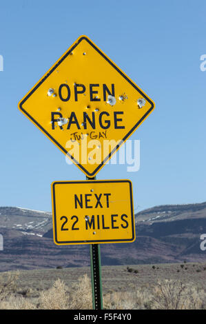 Road sign with shotgun pellet and bullet holes Stock Photo - Alamy