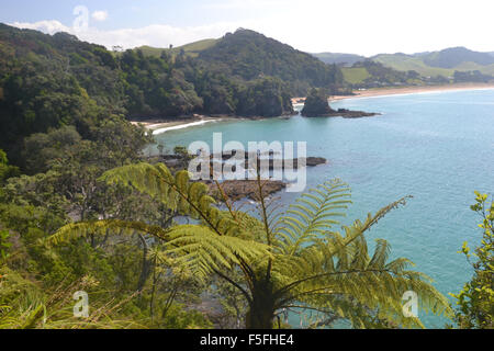 Whale Bay - New Zealand Stock Photo - Alamy