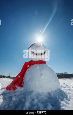 snowman look in sky and wait spring Stock Photo - Alamy