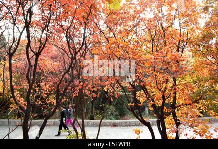 Autumn scenery at a park in Jinan City, east China's Shandong Province ...