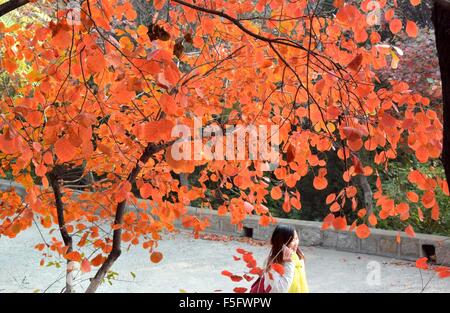 Autumn scenery at a park in Jinan City, east China's Shandong Province ...