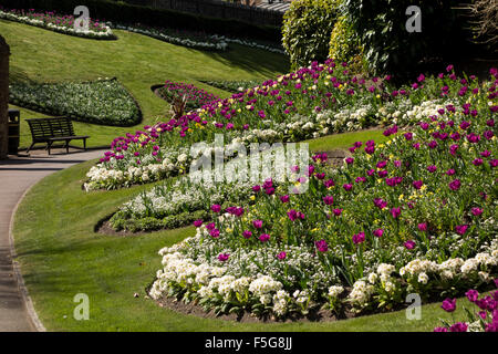 Tulip and flowers at the Guildford Castle Gardens, England Stock Photo ...