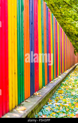 Summer or autumn soft colored abstract background. Bokeh on a green ...