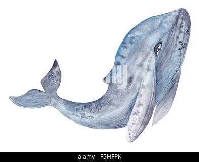 Large high-detailed hand-painted illustration with gray and blue cetus ...