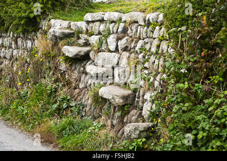 Traditional Cornish dry stone wall made from - what appears to be ...
