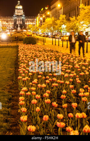 Night view of Wenceslas Square in the New Town of Prague, Czech ...