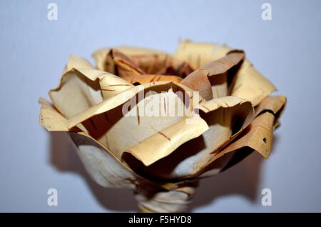 homemade birch bark rose on white background Stock Photo - Alamy