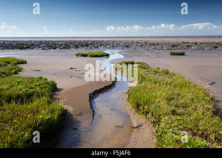 Sand, salt marsh and mud flats at Arnside on Morecambe Bay Stock Photo ...