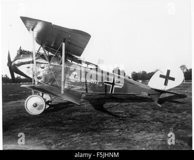 The Halberstadt CL IV was a German World War I aircraft used for close ...