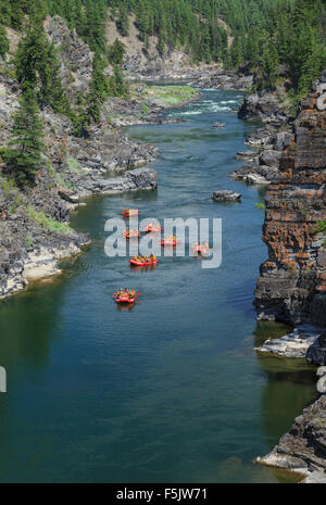 flotilla of rafts floating through alberton gorge on the clark fork ...
