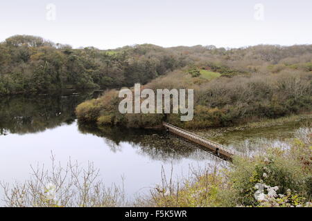 Bosherston Lakes and Lily Ponds, Stackpole, National Nature Reserve ...