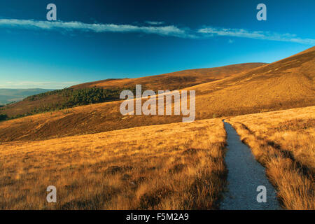 Invereshie and Inchriach National Nature Reserve, Glen Feshie ...