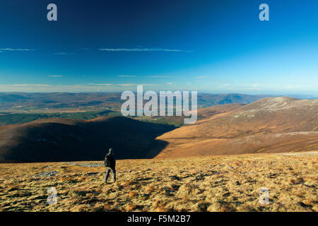 Invereshie and Inchriach National Nature Reserve, Glen Feshie Stock ...