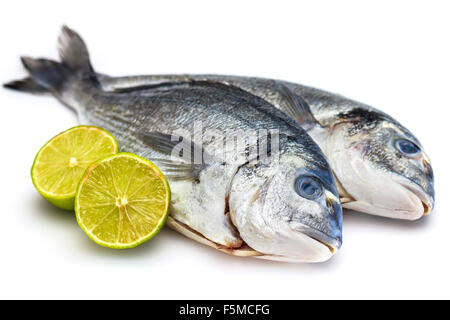 Bream fish with lime isolated on white background Stock Photo - Alamy