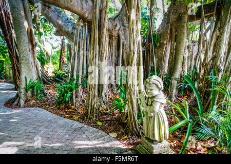 A garden gnome amongst the Banyan trees in the Floridian grounds of the ...