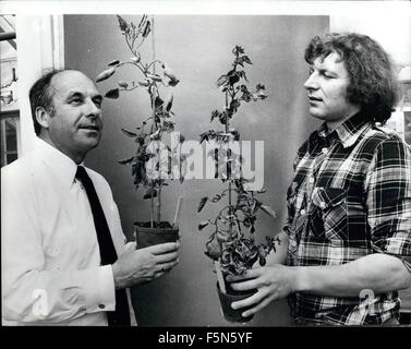 1968 - You Say Tomato - I Say Potato: Four Plants That Could Be Either ...