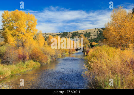 fall colors along the little blackfoot river near avon, montana Stock ...
