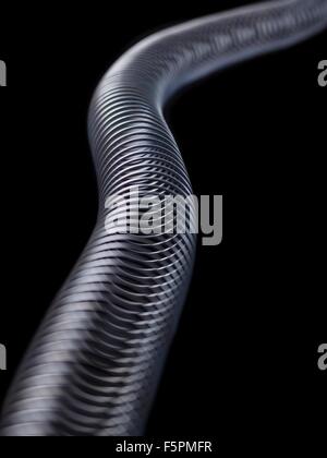 Transverse wave in a slinky spring. In transverse (or shear) waves the ...