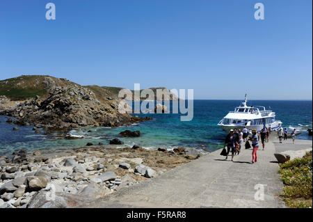 France, Cotes d'Armor, Sept Iles Ornithological Reserve, Ile Rouzic ...