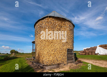 Old corn crib in open field. Bureau County, Illinois, USA Stock Photo ...