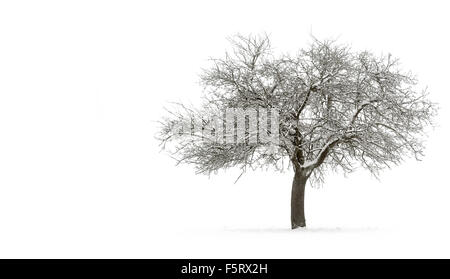 White snow isolated on pure white background. Pile of white snow on a ...